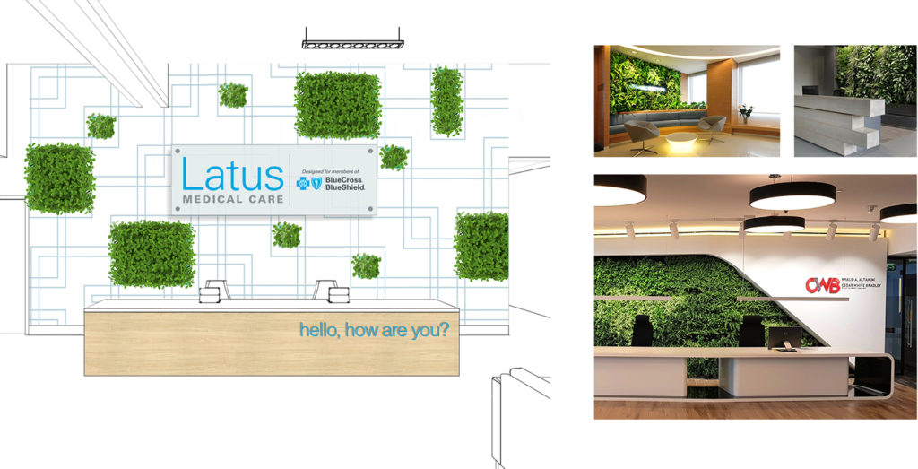 Healthcare Brand Development | Latus Medical Care | Mower