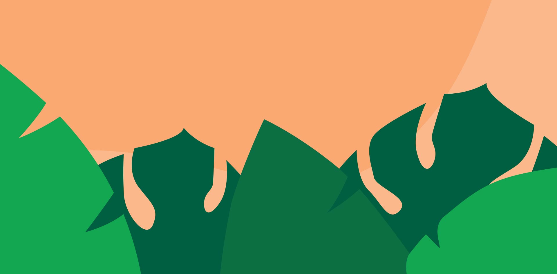 Allegheny Health Network